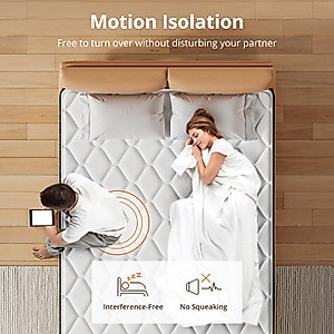 Twin Size Mattress, EvaStar 12 Inch Gel Memory Foam Mattress for Cooling Comfort Technology and Pressure-Relieving, Hybrid Mattress in a Box, Medium Firm, Breathable, CertiPUR-US, 75"x 39"x12"