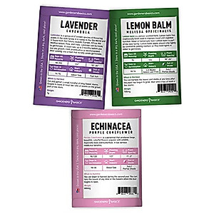 Herbal Tea Seeds for Planting Indoors and Outdoors 5 Variety Packets Echinacea, Peppermint, Lavender, Chamomile and Lemon Balm - Great for Kitchen Herb Garden Heirloom Herb Seeds - Gardeners Basics