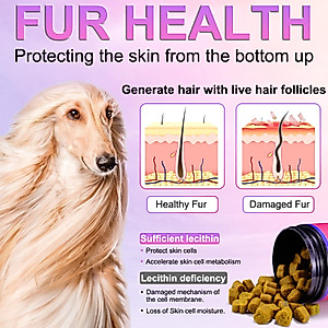Omega Skin & Coat Soft Chew Supplements for Dogs, Skin Health Chews for Dogs, Allergy and Itch Relief - Skin and Coat Supplement, Reduce Shedding, Omega 3 Fish Oil, Healthy Soft Shiny Hair