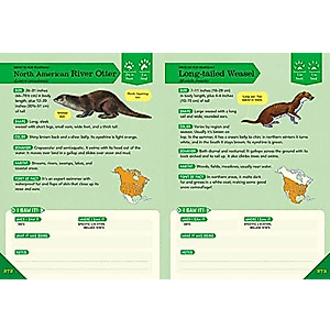 Outdoor School: Animal Watching: The Definitive Interactive Nature Guide
