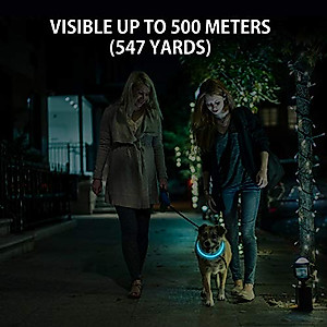 Novkin 2-Pack LED Dog Collar, Light Up Dog Collars,Rechargeable Dog Lights for Night Walking，Universal, Reusable Safety Necklace for Small Medium Large Dogs