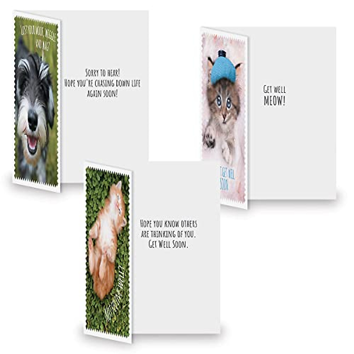 Current Furry Friends Get Well Greeting Cards Value Pack - Set of 20, 10 Unique Designs, Large 5 x 7 Inch Cards, Sentiments Inside, Dogs, Cats, Pets