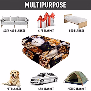 YISUMEI Orange Cat Baby Throw Blanket Kitty Loves Orange Cat Combo Fleece Blanket Soft Warm Cozy for Kids Adult Gifts 50"x60"