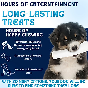 FETCHERONI Dog Treat Variety Box - Variety Box Consists of 5 Pig Ears, 3 Yak Cheese Chews, 3 Bully Sticks, 2 Cow Ears, and 1 Dog Bone - Long Last Dog Chew Treats - All Treats are 100% Natural