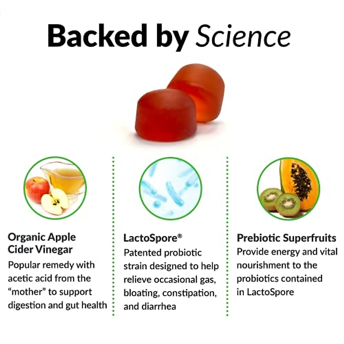 ProbioSlim Apple Cider Vinegar Gummies with Organic Apple Cider Vinegar and LactoSpore Probiotics and Prebiotics to Support Digestion, Metabolism, and Immune Health, 120 Count (Pack of 1)