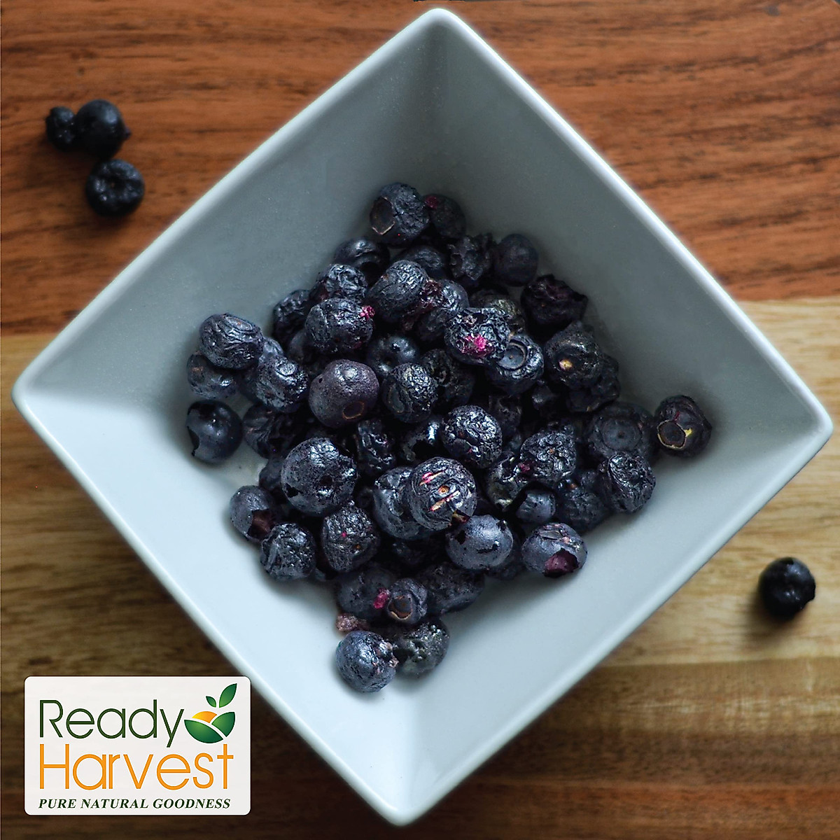 Ready Harvest Freeze-dried Blueberries | Blueberries Freeze-dried Fruit Snacks | Healthy Snacks Trail Mix | Camping food, School Snacks or Emergency Food Supply 30 Years | #10 Can