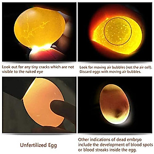 ZZBUY Egg Candler, Egg Incubator Light【2024 Upgraded Charger】,Egg Candler candling Checker Light for Chicken Quail Dark Canary Pigeon All Eggs Battery Powered(Include Egg Candling Guide)