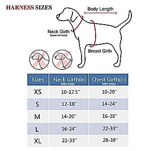PoyPet No Pull Dog Harness, No Choke Front Clip Dog Reflective Harness, Adjustable Soft Padded Pet Vest with Easy Control Handle for Small to Large Dogs(Pink,M)