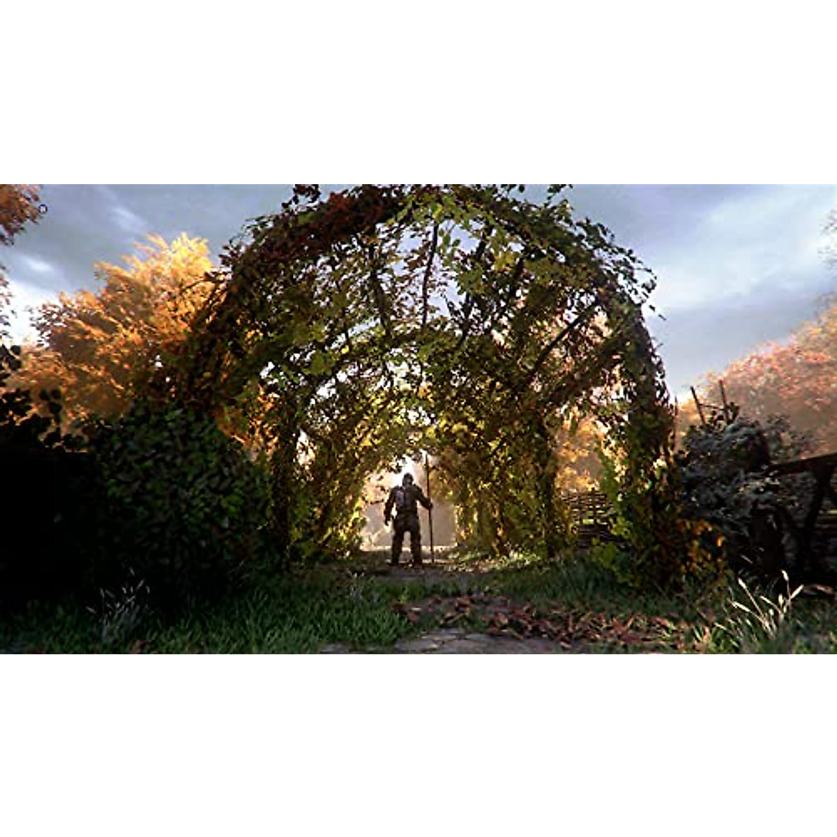 A Plague Tale: Innocence (Xsx) - Xbox Series X