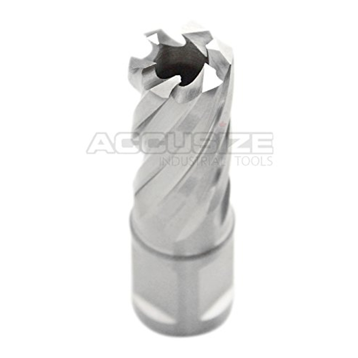 Accusize Industrial Tools 11/16'' X1'' Cutting Depth H.S.S. Annular Cutter with 1 Pc Pilot Pin, 2080-2016Pin