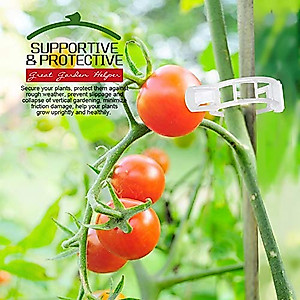 Fandamei 300 PCS Plastic Garden Plant Support Clips, Tomato Clips, Plant Ties, Trellis Clips, for Tomato Cucumber Flower Squash Vine, 1” Inner Diameter
