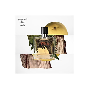 Hermes Terre D' Hermes By Hermes For Men. Parfum Spray 2.5 Oz / 75 Ml (187417)
