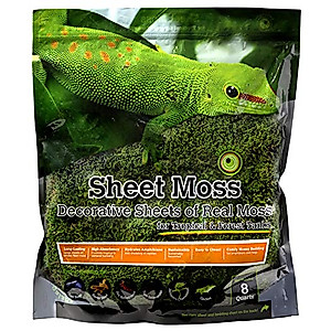 Galápagos (05248) Sheets of Real Moss, 8-Quart, Natural,Green
