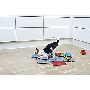Kruuse Task for Buster Activity Mat, Springroll
