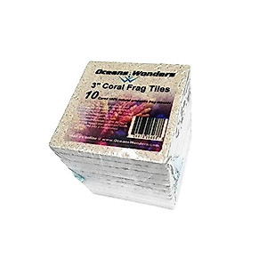 Oceans Wonders XXL 3" Coral Frag Tiles 10pc