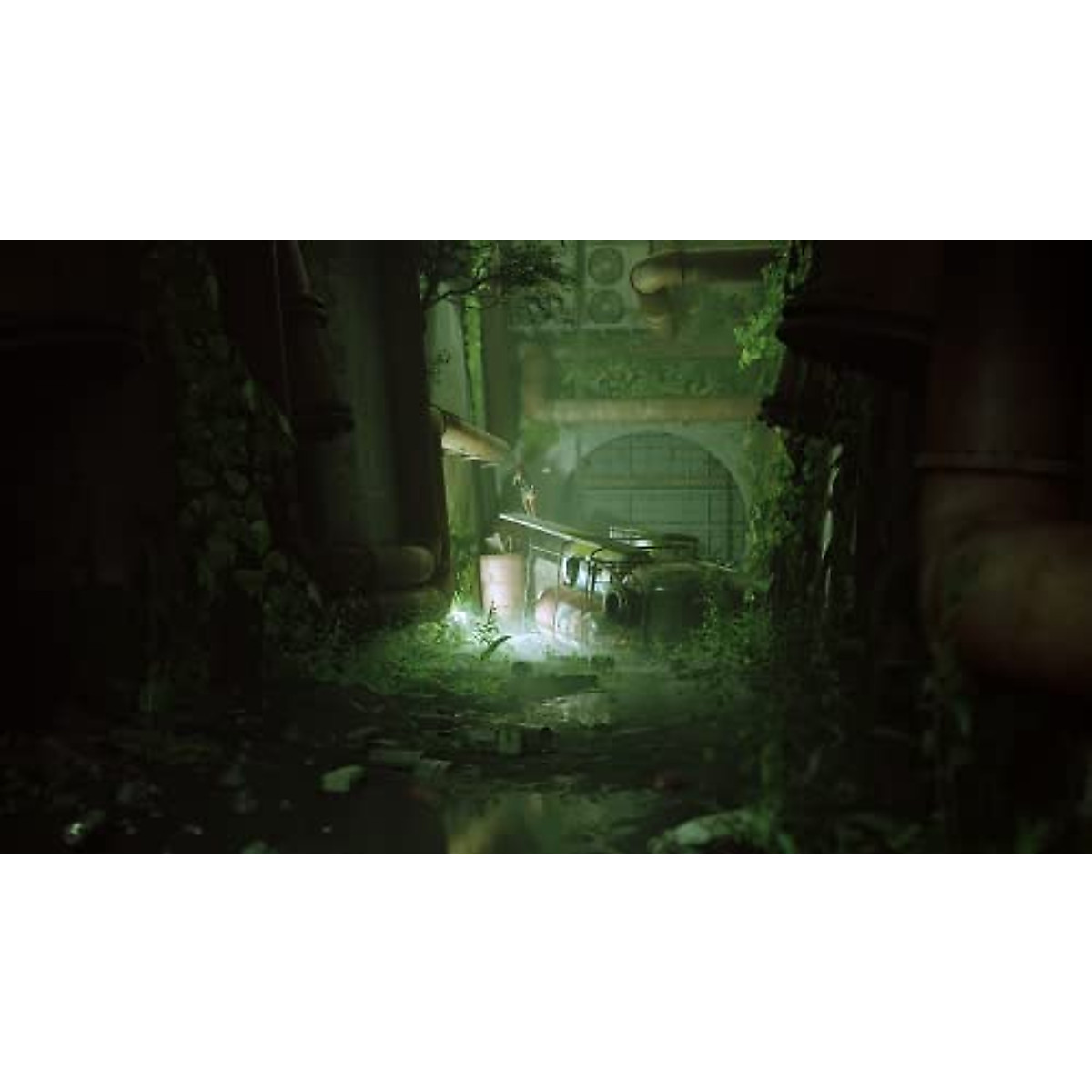 Stray - PlayStation 5