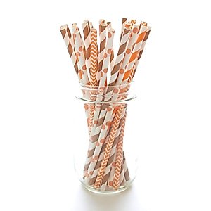 Thanksgiving Disposable Paper Drinking Straws in Orange & Brown (25 Pack) - Autumn Fall Harvest Themed