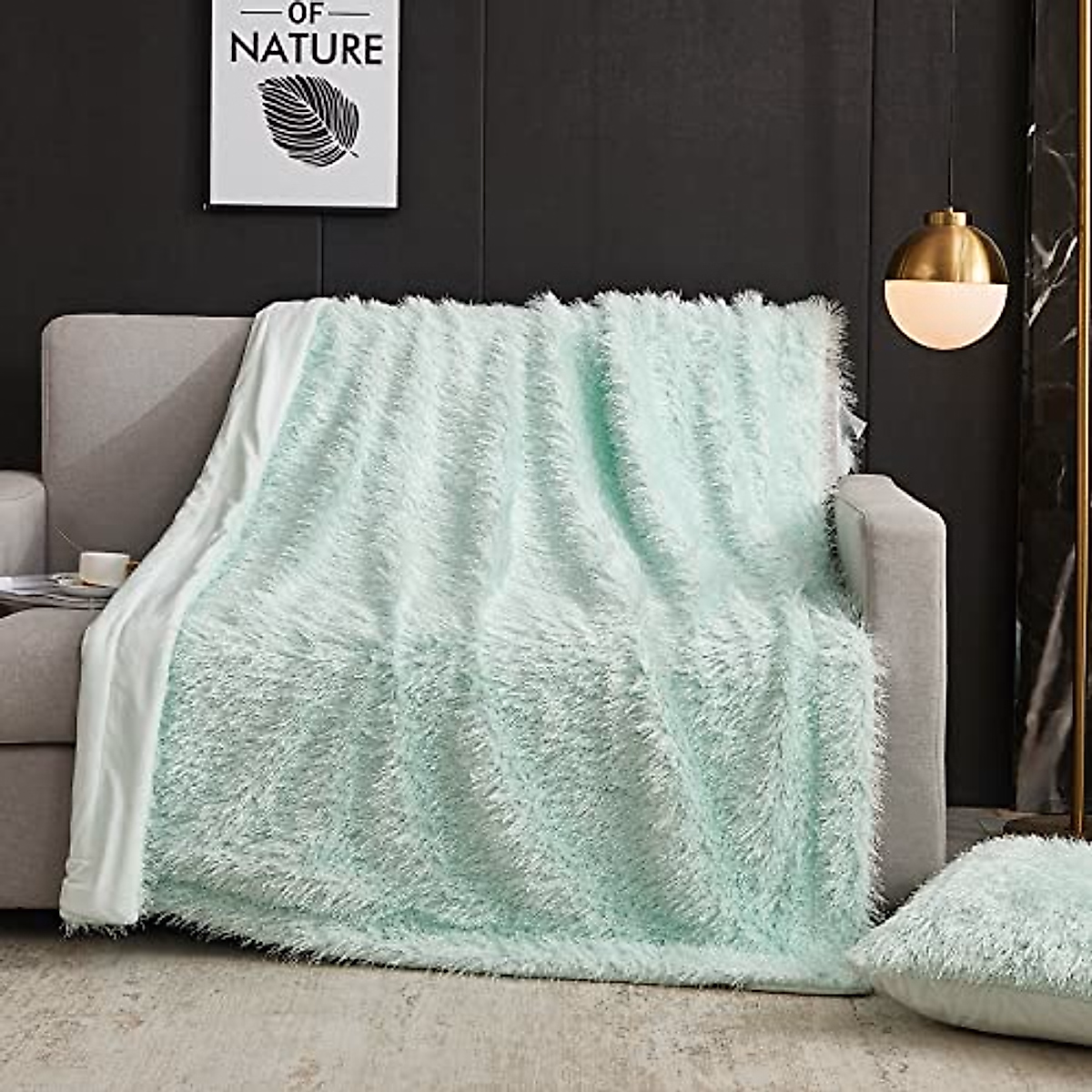 WERDIM Plush Faux Fur Throw Blanket Aqua - Luxury Soft Fluffy Fuzzy Sherpa Velvet Throw Blankets for Couch Sofa Bed, 50x70 inches