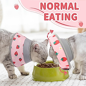 Pawfun Cat Cone Collar Soft, Comfortable Cat Recovery Collar Pet Cone for Small Large Cats, Lightweight Elizabethan Collar for Cats Kittens After Surgery Prevent from Licking Wounds, Pink, S