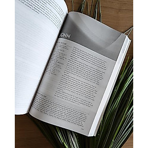 NLT Life Recovery Bible, Second Edition, Personal Size (Softcover): Addiction Bible Tied to 12 Steps of Recovery for Help with Drugs, Alcohol, Personal Struggles - With Meeting Guide