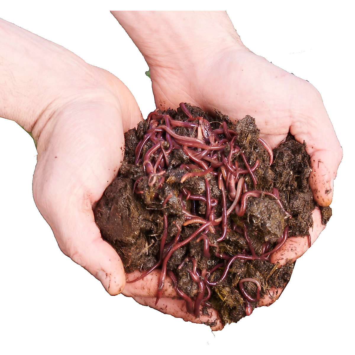 MAZE Three Level Worm Farm Compost Bin