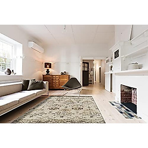 Dalyn Rugs Antigua Rug, 9'6" x 13'2", Chocolate