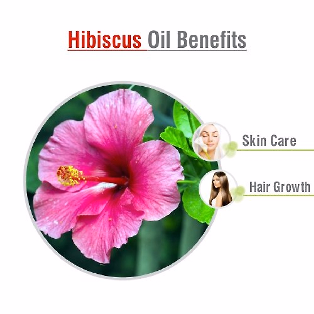Hibiscus (Hibiscus Sabdariffa L) Essential Oil 100% Pure Uncut Undiluted Cold Pressed Herbal Premium Aromatherapy Oil 50ML