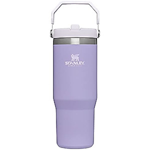 Stanley IceFlow Stainless Steel Tumbler - Vacuum Insulated Water Bottle for Home, Office or Car Reusable Cup with Straw Leak Resistant Flip Cold for 12 Hours or Iced for 2 Days, Lavender, 30OZ