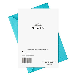 Hallmark Tree of Life Pack of 2 Bar Mitzvah Cards (Mazel Tov)