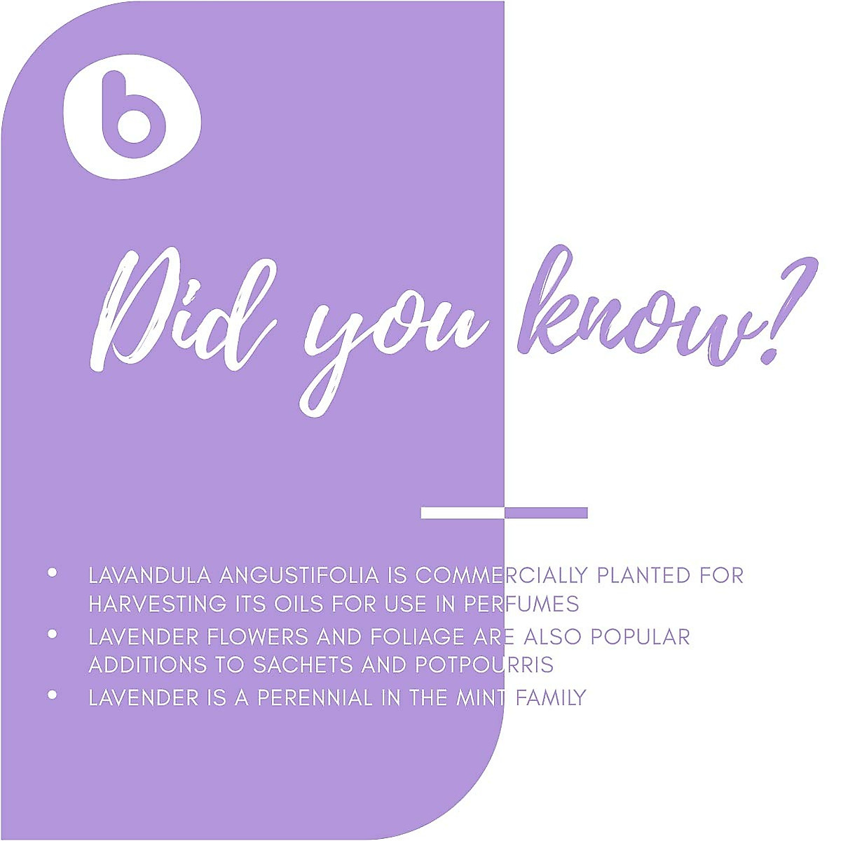 Bobica Premium European Organic Lavender Capsules, Helps Reduce Stress, Calming, GMO Free, Gluten Free, All Natural, 250 mg, 90 Vegan caps