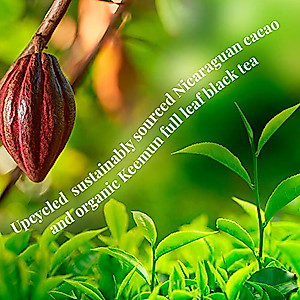 The Republic of Tea - Theo and Thea Bananas Foster Full-Leaf Black Tea, 14 Pyramid Sachets, Low Caffeine