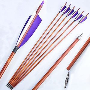 AMEYXGS 30inch Carbon Arrows Hunting Aiming Practice Arrows Spine 500 with 4inch Shield Turkey Feather Detachable Arrowhead for Recurve Compound Bow Longbow 12pcs (12Pcs Purple)