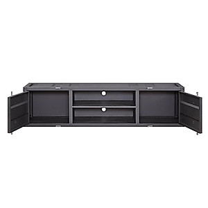 Acme Cargo 2-Door Metal Frame TV Stand with Shelves in Gunmetal