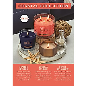 Root Candles Scented Candles Honeycomb Veriglass Premium Handcrafted Beeswax Blend Candle, Large, Coastal Sunrise