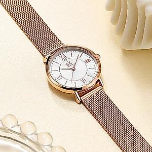 SHENGKE Minimalist Watch (Love Me Tender Love Me Home) Casual Fashion Wrist Watch Mesh Numerals Golden