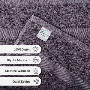 GREEN LIFESTYLE Soft Cotton Towels for Pool, Spa, and Gym Lightweight and Highly Absorbent Quick Drying Towels (24" x 48", Charcoal)