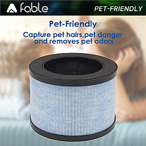 H13 Premium True HEPA Filter, DH-JH01 Upgrade HEPA Filter Replacement for Aroeve MK01 MK06, Pomoron and Kloudi DH-JH01, Intelabe EPI080/EP1080 & Elechomes EPI081/EP1081, 2 Pack