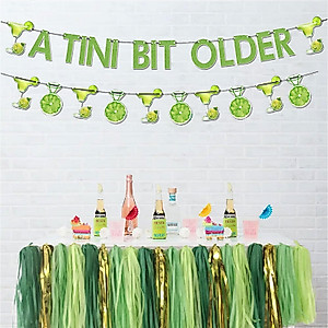 A Tini Bit Older Birthday Decor Banner, a Tiny Bit Older Martini Themed Party Decorations Party Supplies Banners and Tassel Garland