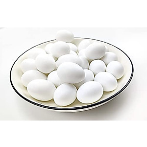 10 Pieces of Pigeon Eggs Simulation of Solid Plastic Pigeon Eggs for Pigeon Hatching Help Laying Pigeon Agricultural Tool Poultry