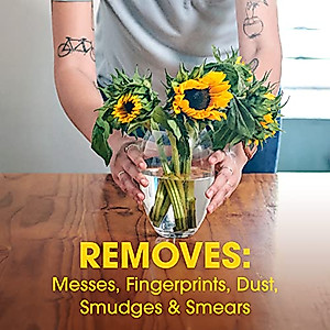 Pledge Expert Care Wood Wipes, Shines and Protects, Removes Fingerprints, Lemon Scent, 24 Count (Pack of 1)