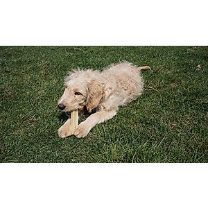 HIMAL 2 Value Pack 100% Natural Medium Dog Treat (4 Piece)