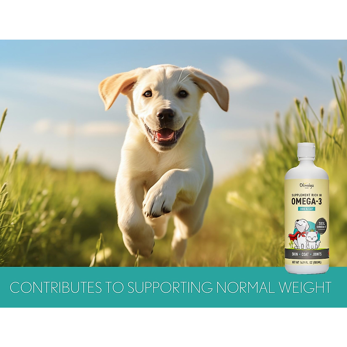 Camelina Oil for Dogs & Cats, 500mL by Olimega Farm | High in Omega-3 & Vitamin E | Support for Healthy Joints, Coat & Skin | Alternative to Salmon Oil for Dogs | Made in Canada | Non-GMO