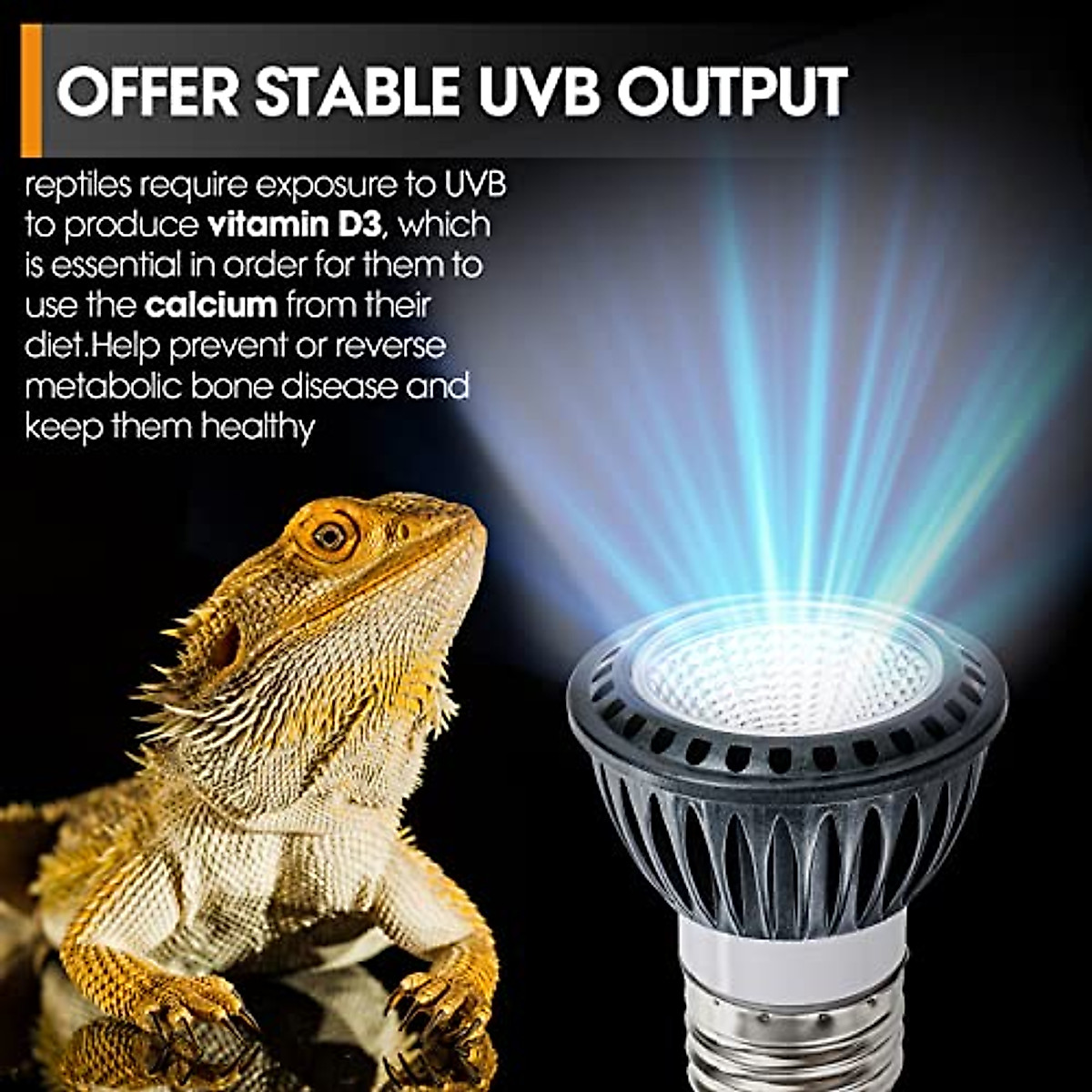 GeeKoit Premium High-Intensity UVB Reptile Light for Optimal Calcium Metabolism,5-Watt 10.0 Desert UVB Light Ideal for Desert-Dwelling Reptiles Bearded Dragons Tortoises (Desert 10.0 UVB)