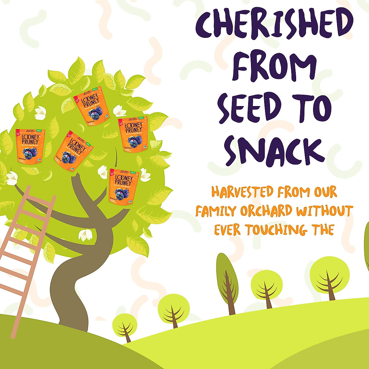 Looney Pruney Pitted Dried Prunes for the Entire Family | Always California-Grown | Kosher | No Added Sugar & No Preservatives (40 oz)