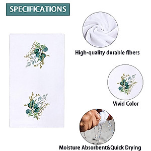 Botanical Eucalyptus Kitchen Dish Towel 18 x 28 Inch, Seasonal Spring Summer Greenery Tea Towels Dish Cloth for Cooking Baking Set of 2