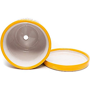 Enchanted Talavera Small Ceramic Flower Pot & Saucer Succulent Planter House Plant Cactus Bonsai Decorative Pot Plant Container 2-Piece Set (Marigold)