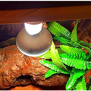 MD Lighting MaoTopCom 100W Basking Spot Heat Lamp Bulbs(2 Pack), 110V Reptile Mercury Vapor Bulbs Soft White Poly Sand Light Dome Bulb for Reptile and Amphibian Use, as Tortoise Lizard