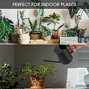 Watering Can Indoor Plants, 35 oz/1000 ml Metal Stainless Steel Watering Can Small Modern Watering Pot with Long Spout for Indoor House Plants Bonsai Outdoor Garden Flower Decorative (Black)