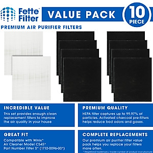 Fette Filter - C545 Premium Replacement True HEPA Filters Compatible with Winix Filter S for Air Purifier C545 Part # 1712-0096-00 Includes 2 True Hepa + 8 Carbon Filter.