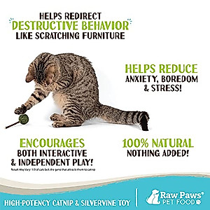 Raw Paws Catnip Lollipops, 6 ct - Cat Toys for Indoor Cats, Interactive Cat Toy, Catnip Toys, Silvervine Cat Toy, Silvervine for Cats, Cat Kicker Toy, Catnip Ball, Cat Ball Toy, Catnip Lolli-pops